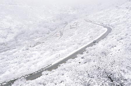 Gallery: Fresh Snow in Jerome | Photo Galleries | verdenews.com