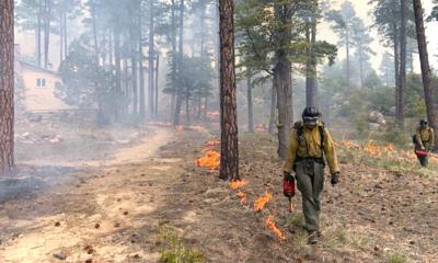 Verde Ranger District plans prescribed burns through July 30 | News ...