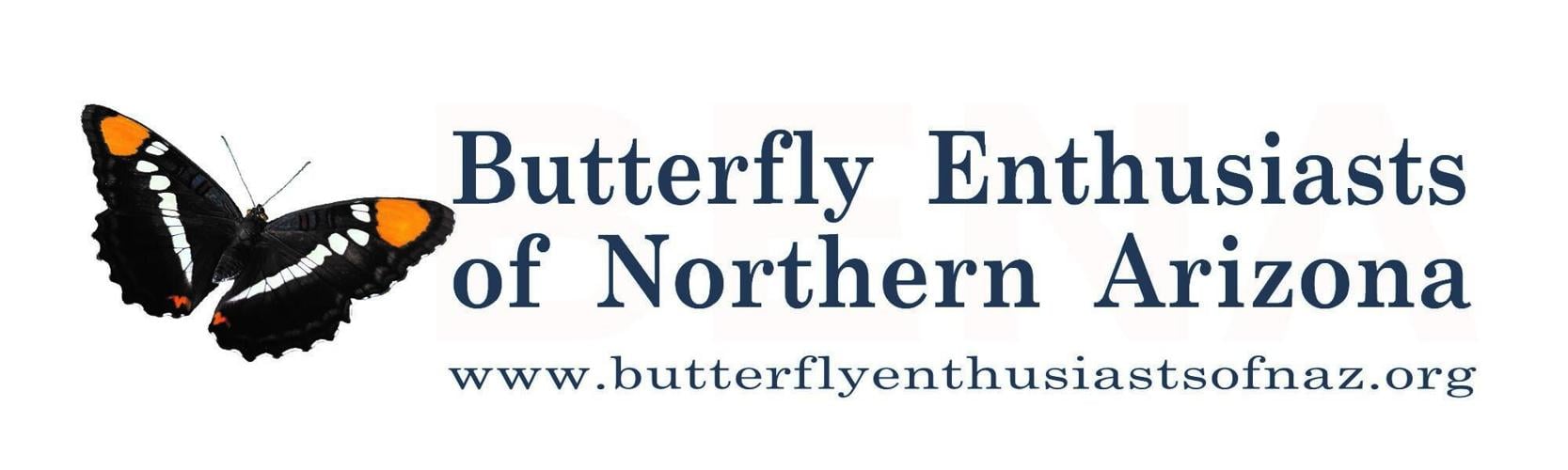 Learn all about butterflies at BENA's Chapter Meeting | Kudos ...