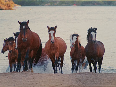 Photographer Jody Miller is guest artist at Village Gallery | Art ...