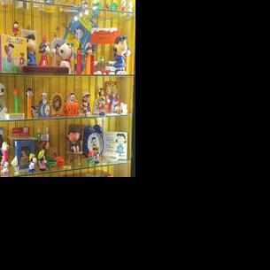 Jerome artist Sally Dryer doubles as Humane Society volunteer ... and ...