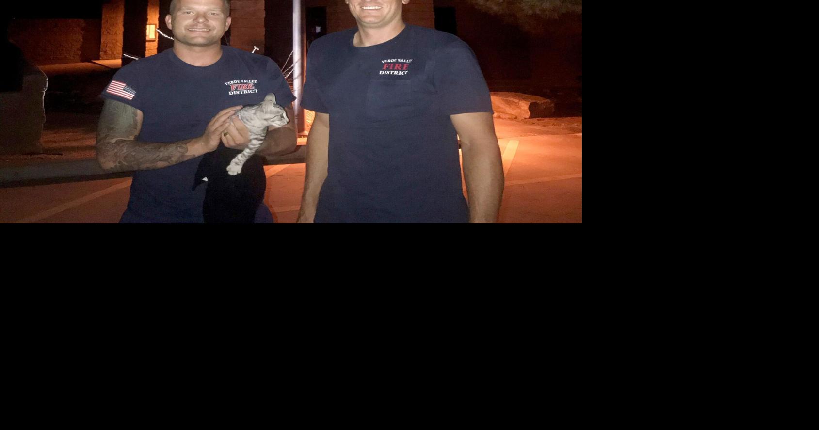 Cat Stuck In Car Dashboard Rescued By Verde Valley Firefighters News 6559