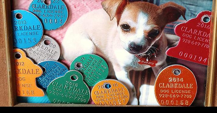 ‘Tis the season for dog tags | News | verdenews.com
