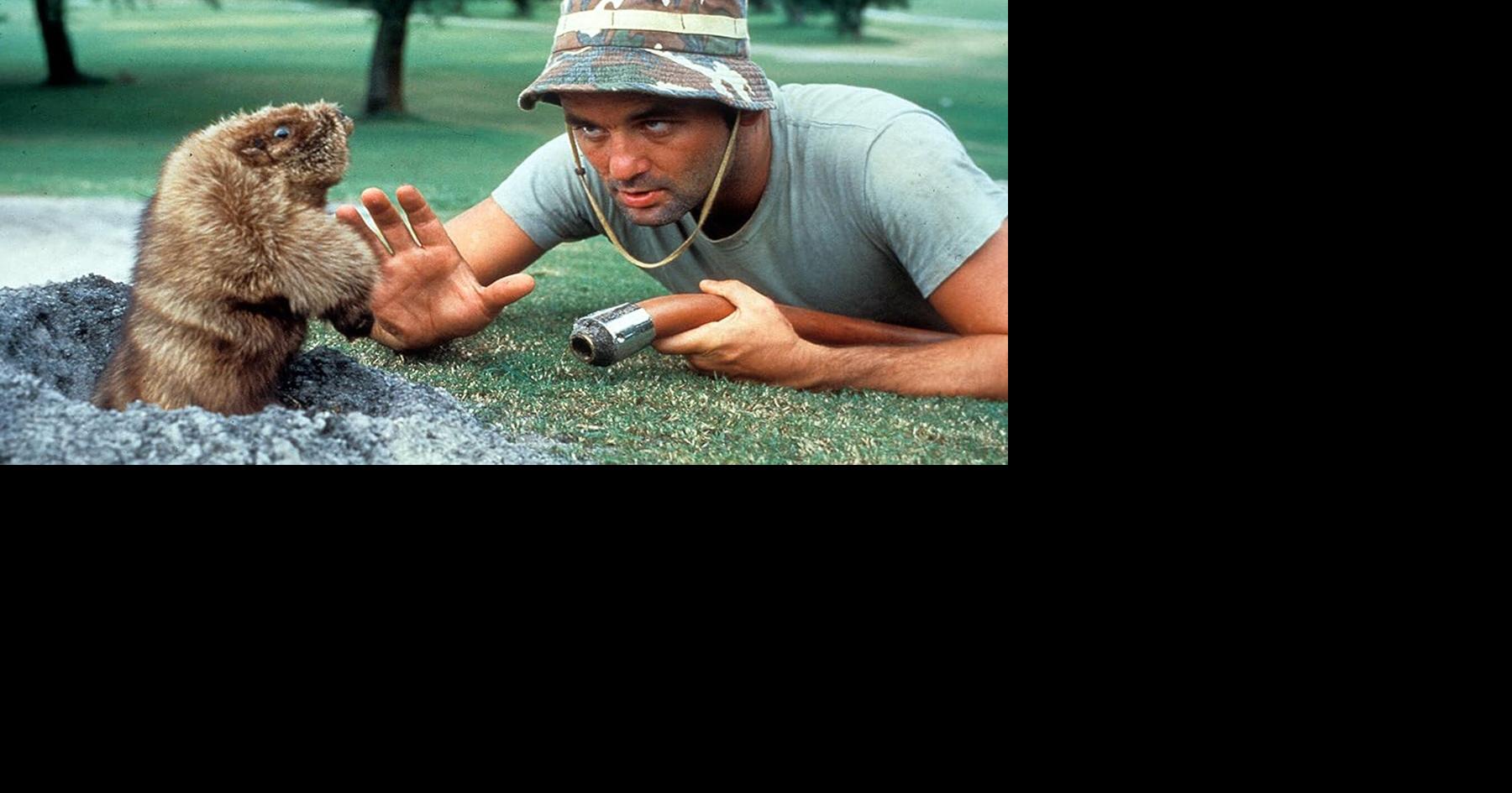 Film Festival presents ‘Caddyshack’ under the stars June 1 | Kudos ...