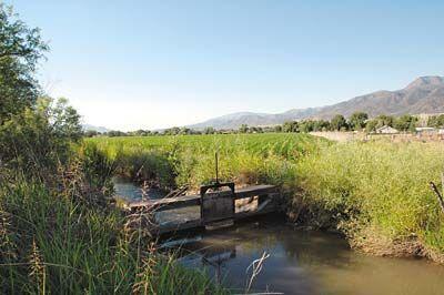 2011: IRRIGATION DITCHES | Archives | verdenews.com