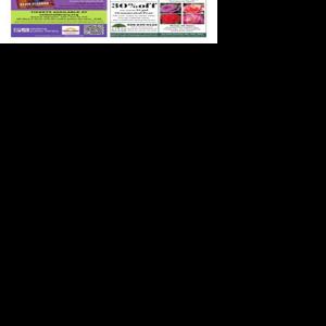 Page A2 | e-Edition | verdenews.com