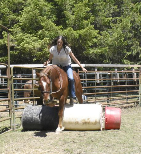 Another Mustang for Izzy | Community News | vernoniasvoice.com