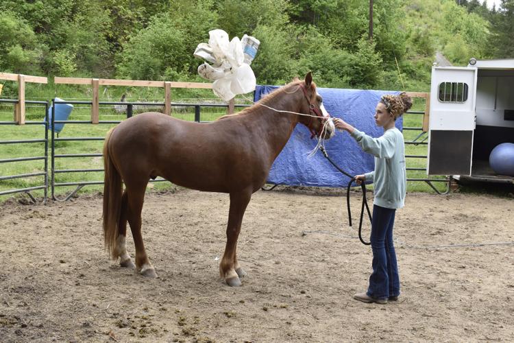 Izzy and the Mustang | Community News | vernoniasvoice.com