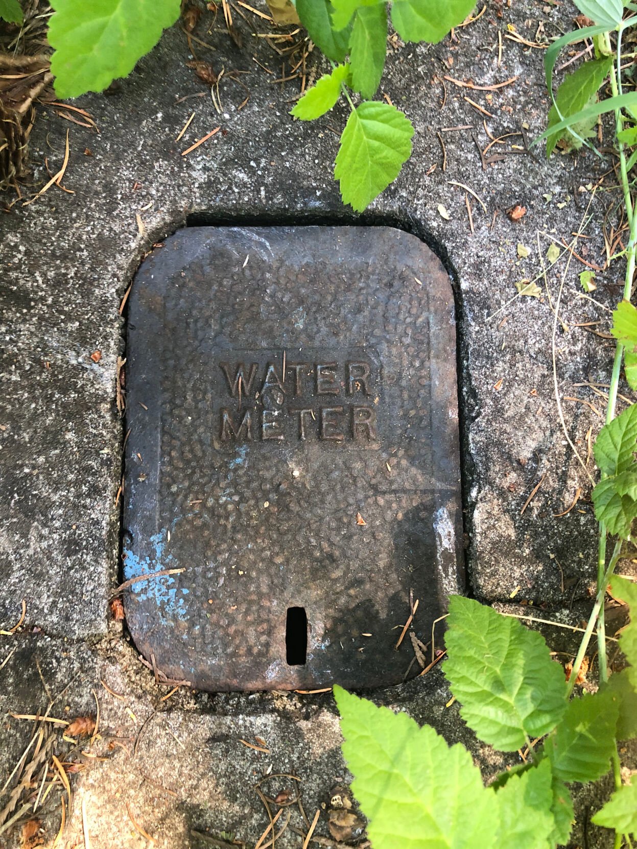 City Addresses Inaccessible Water Meters | City News | vernoniasvoice.com