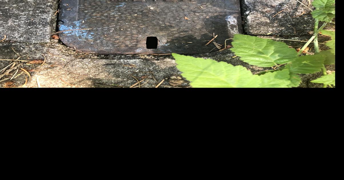 City Addresses Inaccessible Water Meters | City News | vernoniasvoice.com