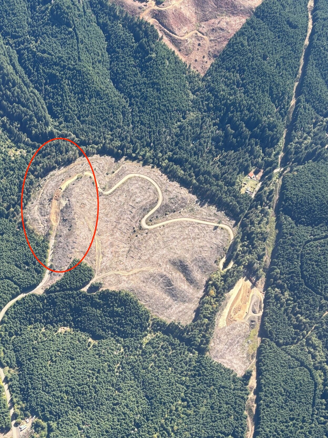 Timber Road Landslide Repair Update | Community News | vernoniasvoice.com