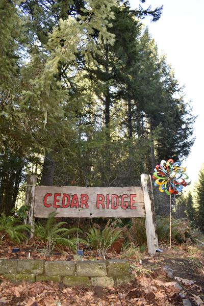 Helping at the Holidays | Business | vernoniasvoice.com