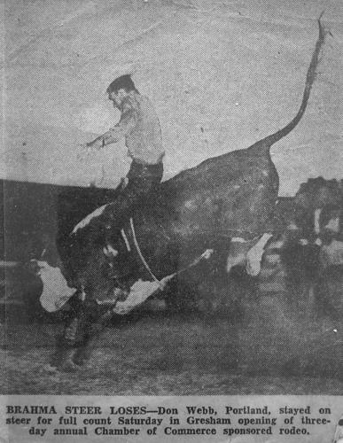 Voices of Vernonia: Don and Dede Webb | Community | vernoniasvoice.com