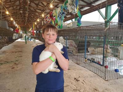 4-H Profile: Gavin Combs | Community | vintonjacksoncourier.com