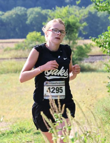 Brown wins district cross country championship; Oaks and Vikings move ...