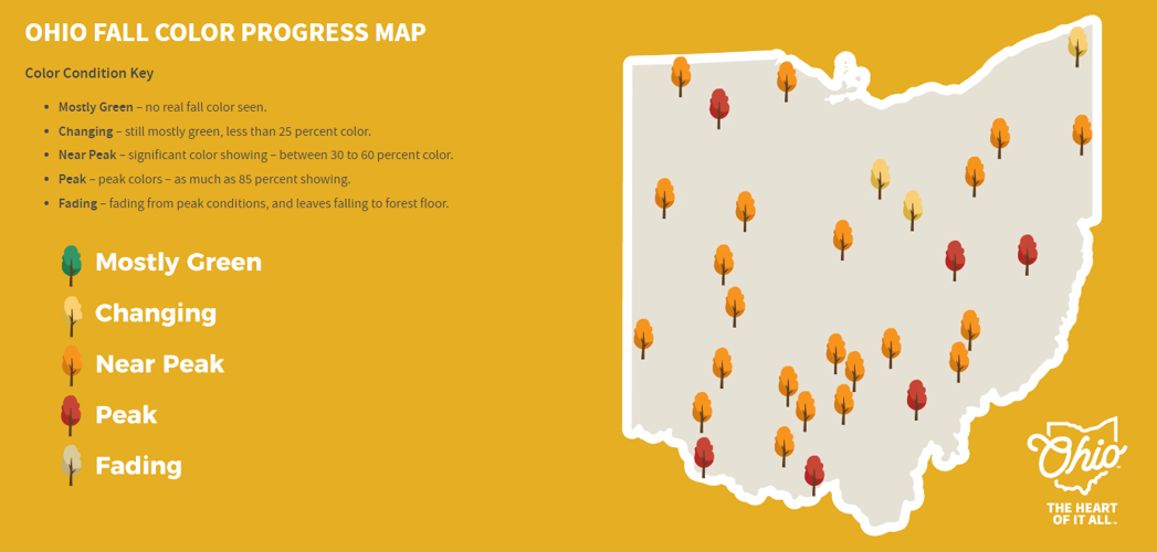 Bursts of fall color now visible throughout much of Ohio | Community ...