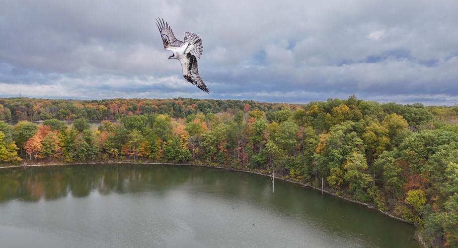 Bursts of fall color now visible throughout much of Ohio | Community ...