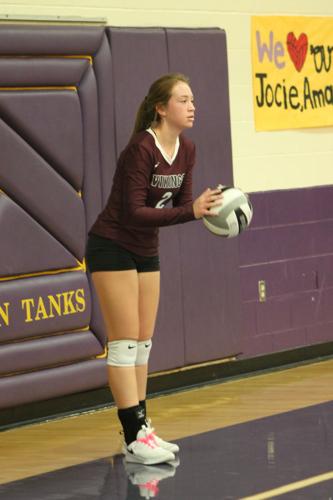 VOLLEYBALL: Lady Vikes win opener | Sports Briefs ...