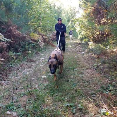 Dogs' keen sense of smell aids law enforcement | News ...