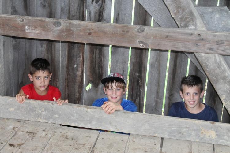 Vinton County Fair | News | vintonjacksoncourier.com