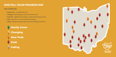 Ohio fall color in Spectacular peak condition for upcoming weekend ...