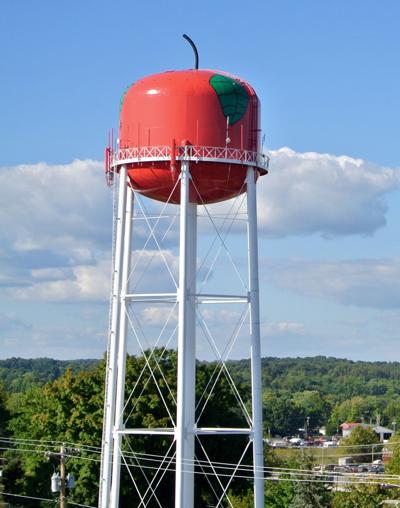 2019 Jackson Apple Festival theme contest open | Community ...