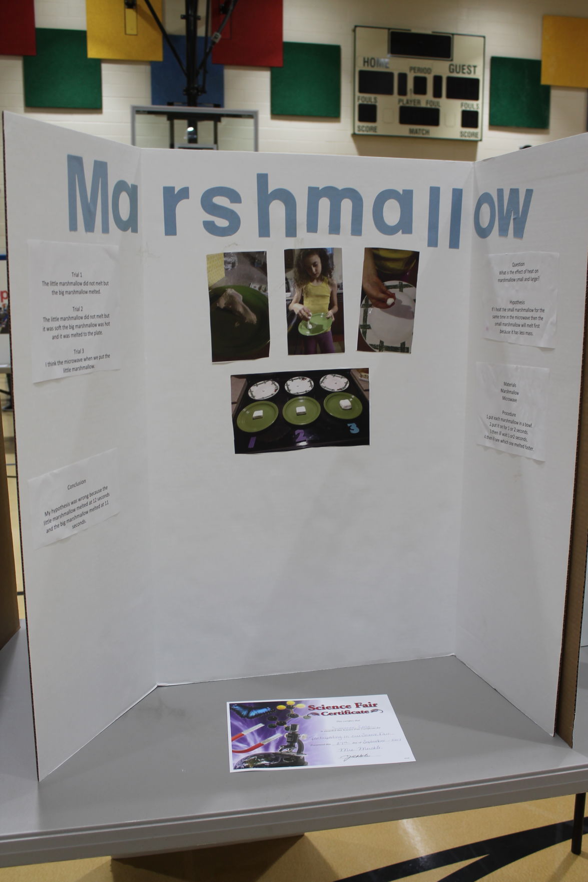 West Elementary Science Fair | Uploaded Photos | vintonjacksoncourier.com