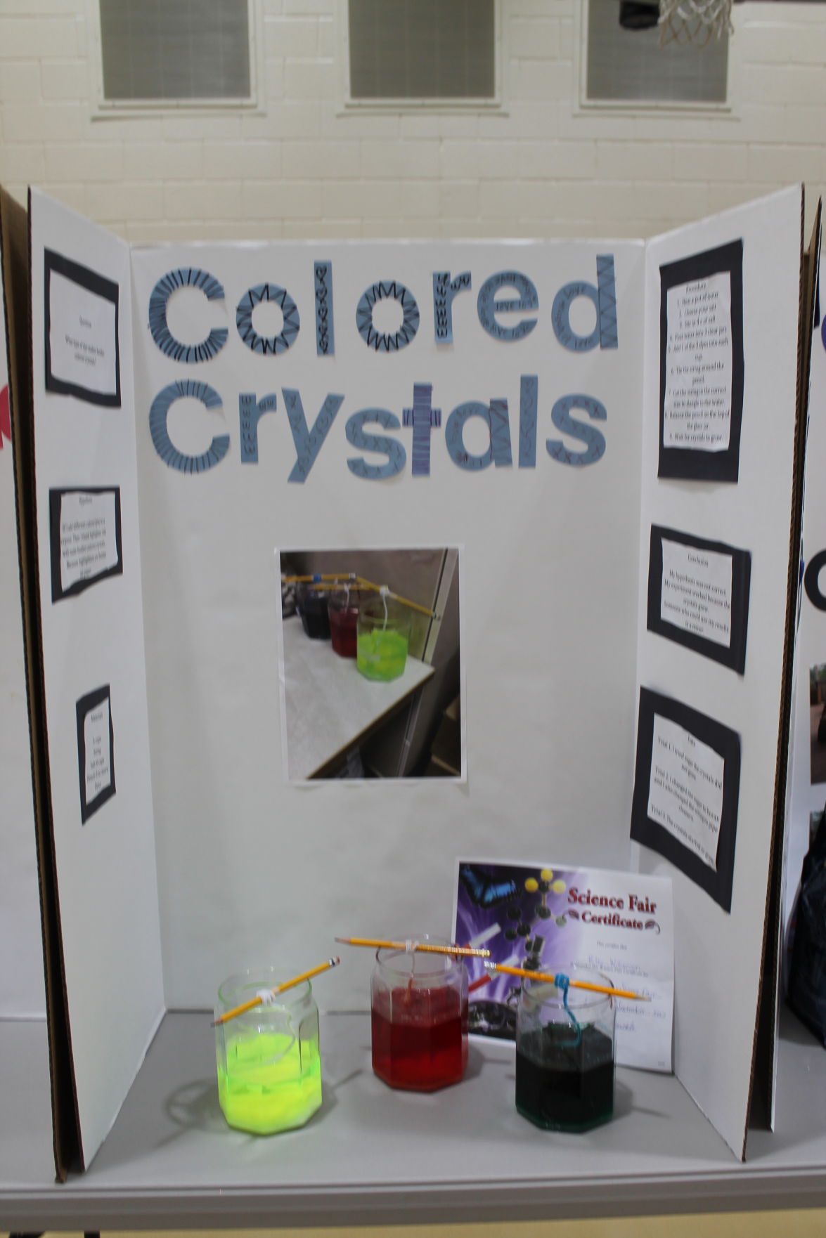 West Elementary Science Fair | Uploaded Photos | vintonjacksoncourier.com