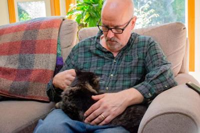 Lost cat reunited with family after 12 years | News ...