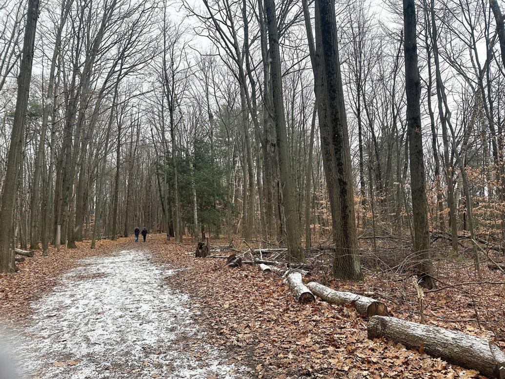 Winter does not stop regular visitors to Red Rocks Park | Around Town ...