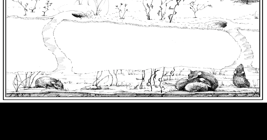 The subnivean zone: shelter in the snow | Outside | vtcng.com