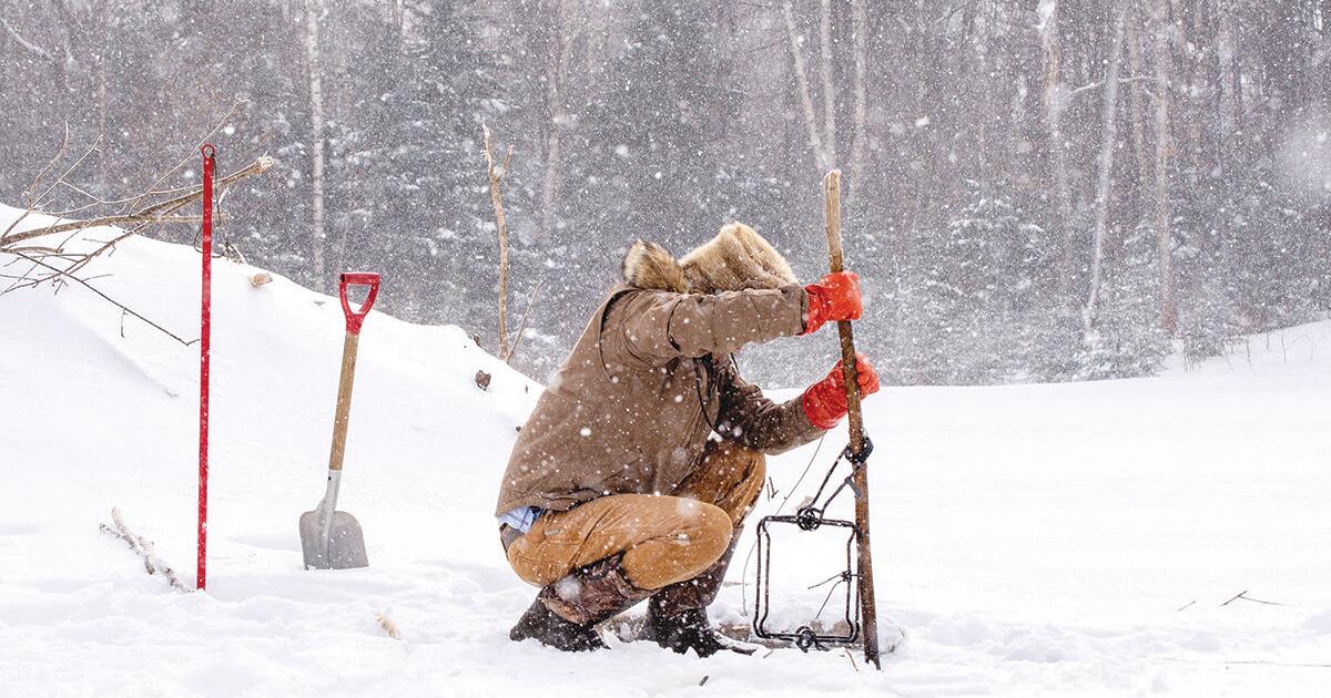 Regulated trapping seasons open in Vermont | Sports | vtcng.com