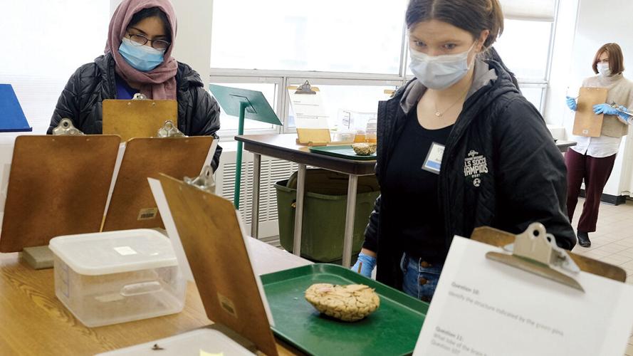 South Burlington brainiacs contend in competition of wits | Education ...