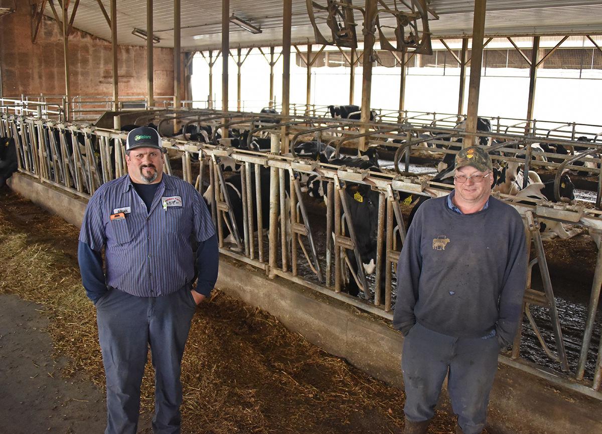 To save its 150-year-old farm, Hyde Park family turns to goats | Local ...