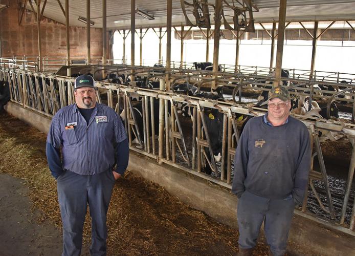 To save its 150-year-old farm, Hyde Park family turns to goats | Local ...