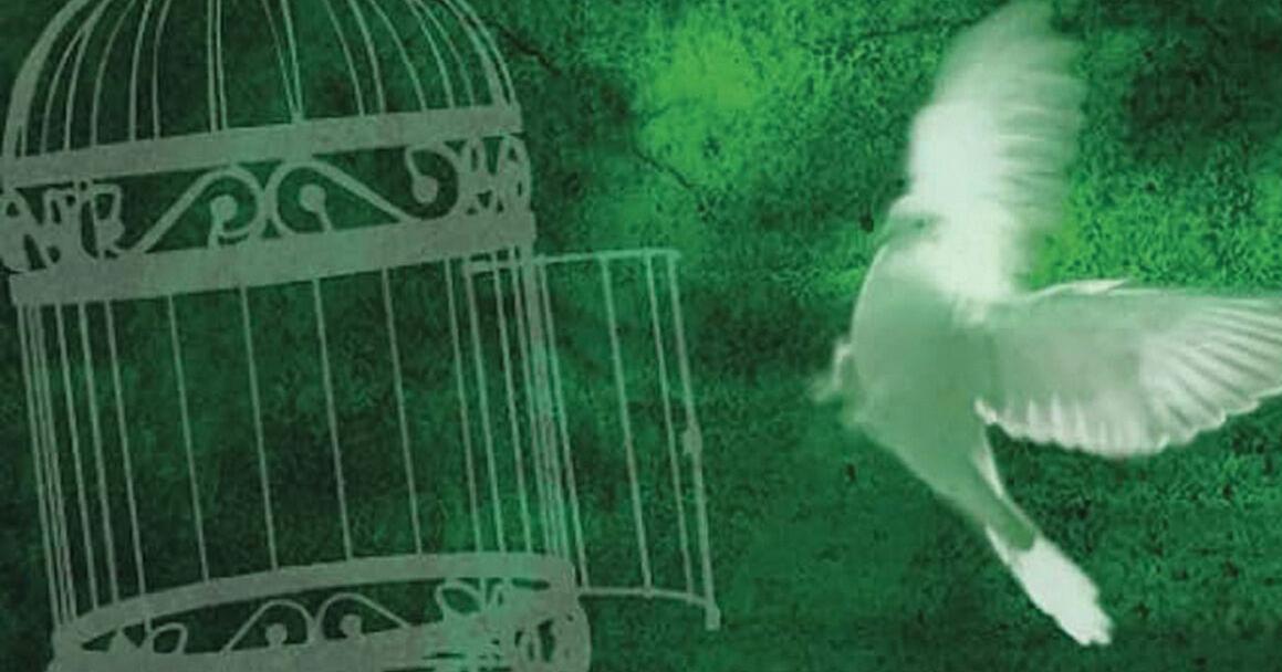 Priestley talks about new novel, ‘A Cage in Search of a Bird’ | Opinion ...