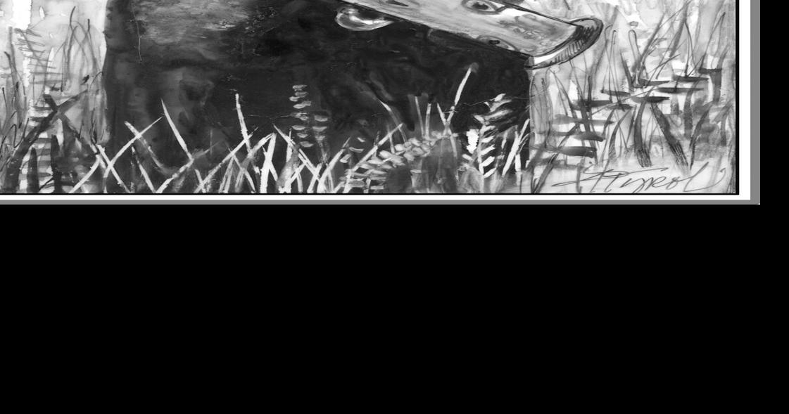 Fed bear a dead bear when it comes to birdfeeders | HOME | vtcng.com