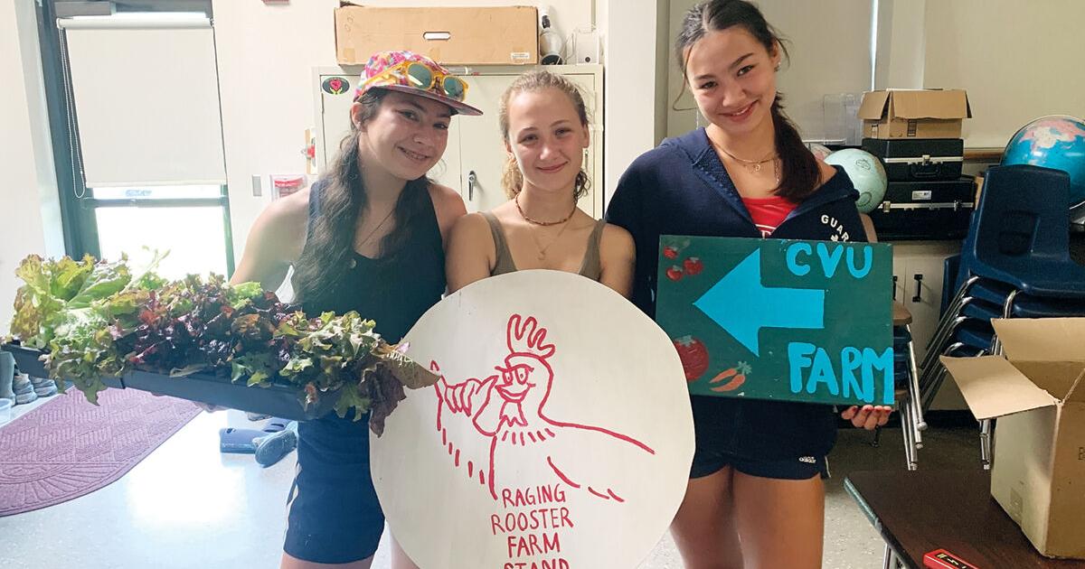 CVU students open farmstand with sustainability in mind | School News ...