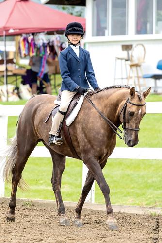 Top rider | Sports | vtcng.com