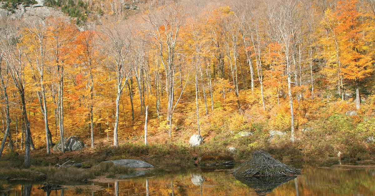Nature’s bounty: Trekking to Nebraska Notch | Outside | vtcng.com