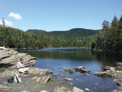 quadrangle mansfield