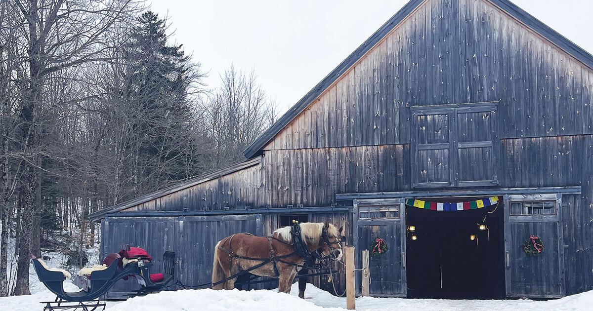 In the woods: Sterling Mountain sleigh rides connect riders | Local ...