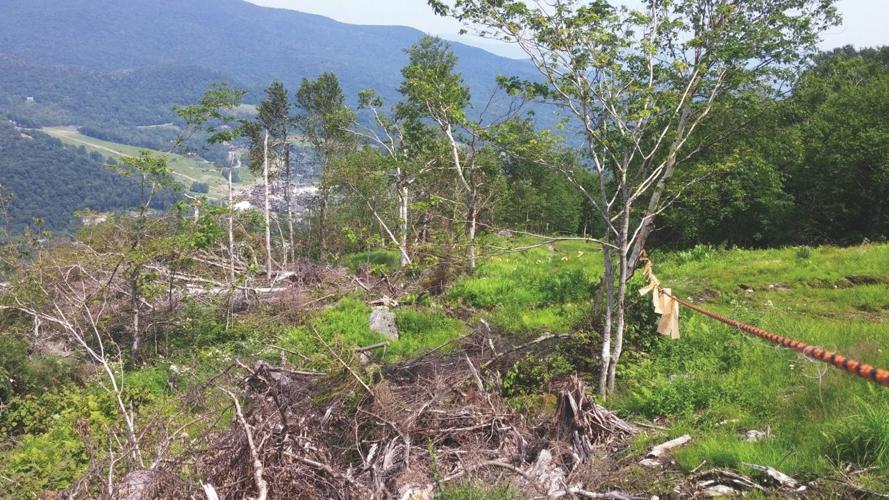 Microburst, one year later | Spotlight | vtcng.com