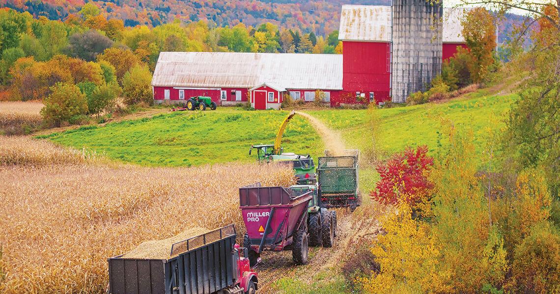 Leaf Peeper’s Guide to Foliage and Fun 2022 | Spotlight | vtcng.com