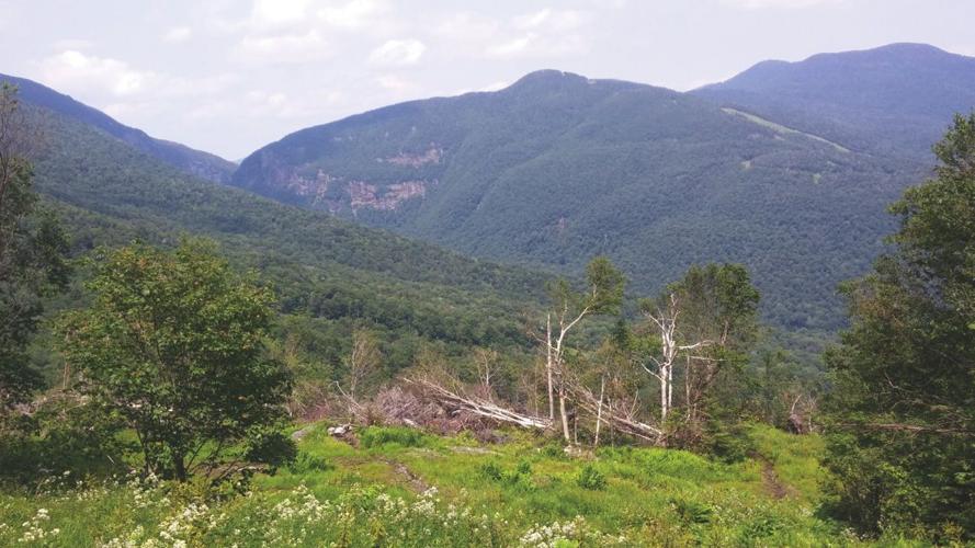 Microburst, one year later | Spotlight | vtcng.com