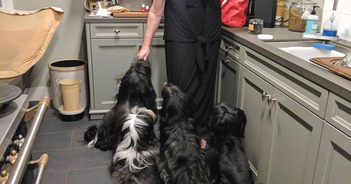 10 Questions with Wendyll Behrend | Opinion Columns | vtcng.com