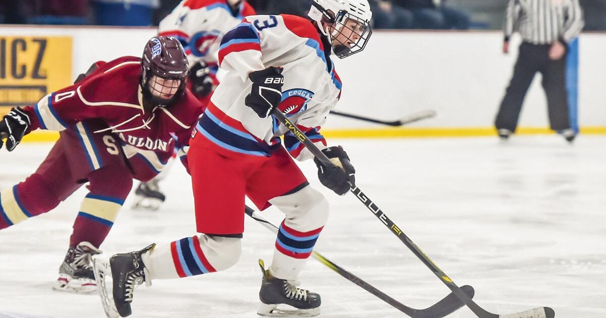 Redhawks have high hopes in hoops, hockey | Sports | vtcng.com