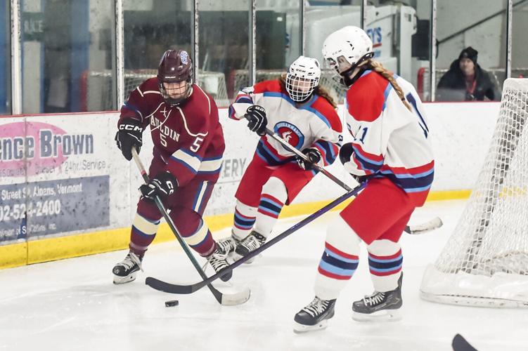 Redhawks have high hopes in hoops, hockey | Sports | vtcng.com