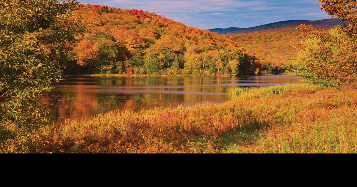 2023 fall foliage photo contest open to readers | Vermont Made | vtcng.com