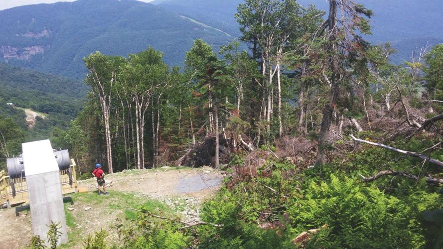 Microburst, one year later | Spotlight | vtcng.com